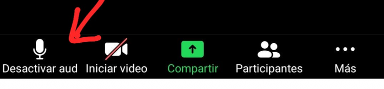 🥇 ¿Cómo silenciar el micrófono en Zoom desde el celular? |【Resuelto】 🥇 ¿Cómo silenciar el micrófono en Zoom desde el celular? |【Resuelto】